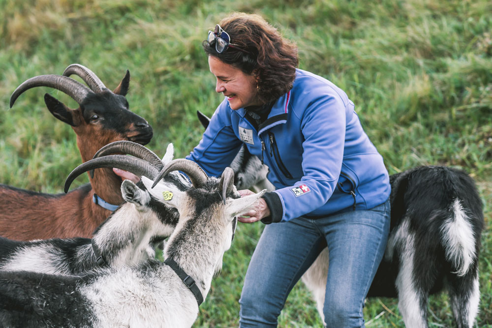 Über uns - Mini Geiss-Dini Geiss